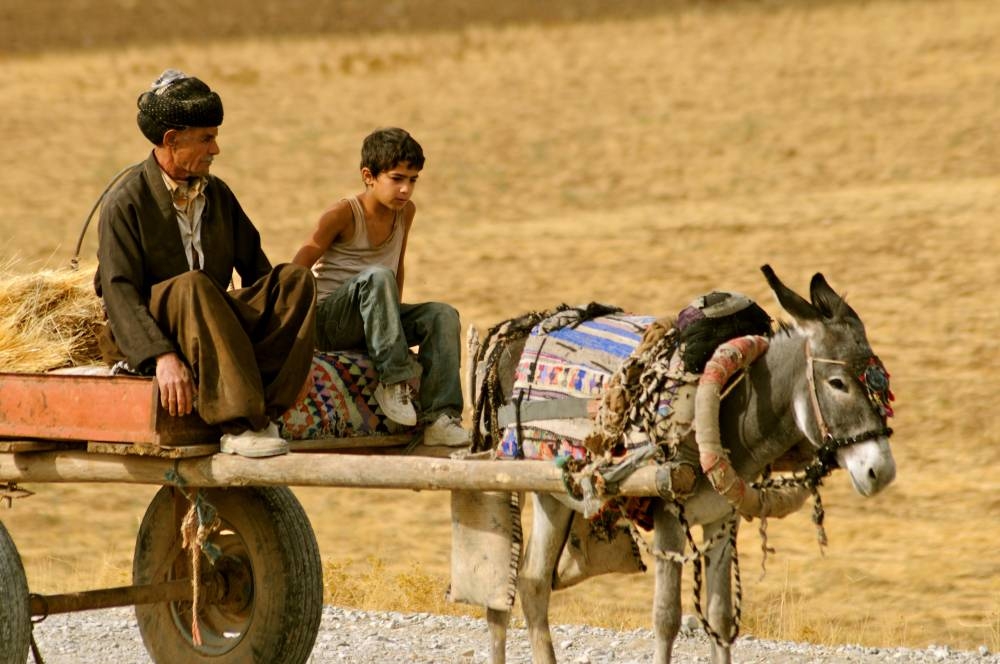 Doha Film Institute presents family friendly and football inspired ...