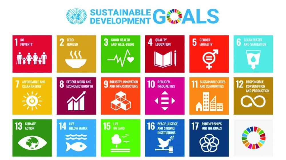 Qatar a model for sustainable development: UN - Gulf Times