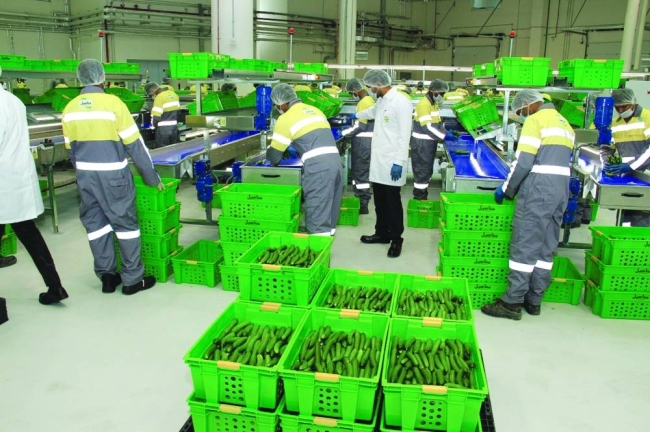 Hassad Food markets 60,000 tons of local vegetables in 3 years - Gulf Times