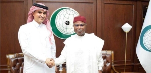 OIC Secretary-General meets Director of International Organisations ...