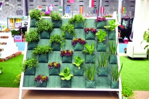 Modern farming techniques boost crop quantity, quality - Gulf Times