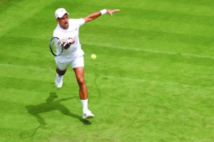 Djoko eyes 8th Wimbledon title and 24th Slam crown - Gulf Times
