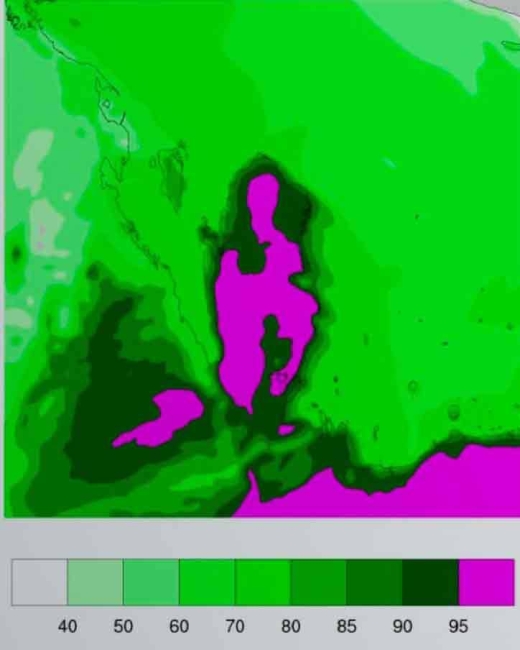 Mist, reduced visibility until weekend: Met - Gulf Times