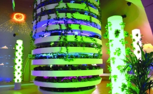 Qatar’s agricultural sector shows potential for regional production ...