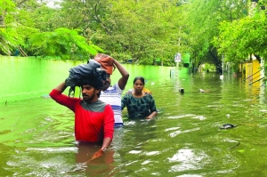 13 killed in floods, rain as cyclone hits south India - Gulf Times