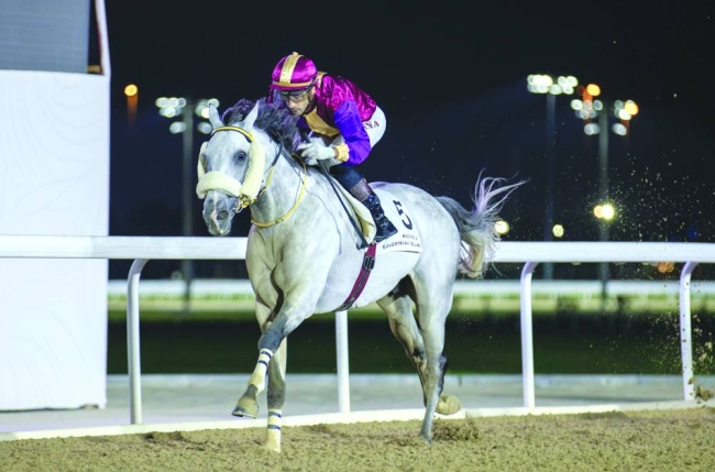 Safi Al Zaman claims Rodat Al Maida Cup - Gulf Times