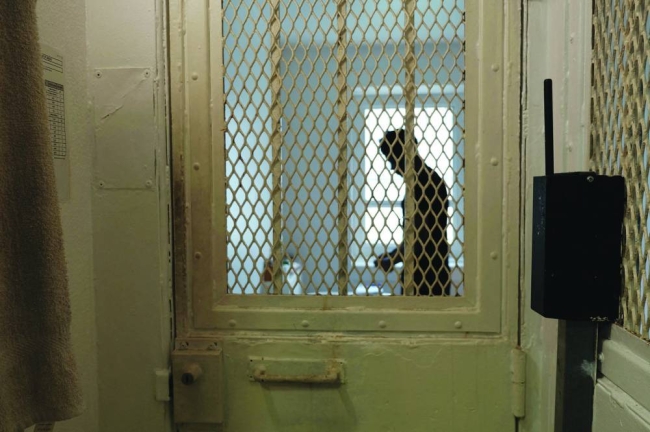 Ahead of Olympics, packed Paris prison braces for inmate crowds - Gulf ...
