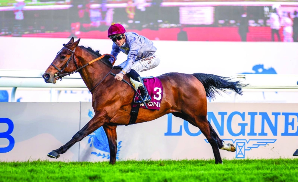 Wathnan Racing emerges leading owner of season - Gulf Times