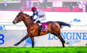 Wathnan Racing emerges leading owner of season - Gulf Times
