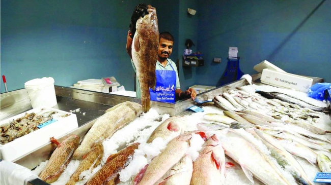 100% surge in Hamour fish stock in Qatar waters: report - Gulf Times