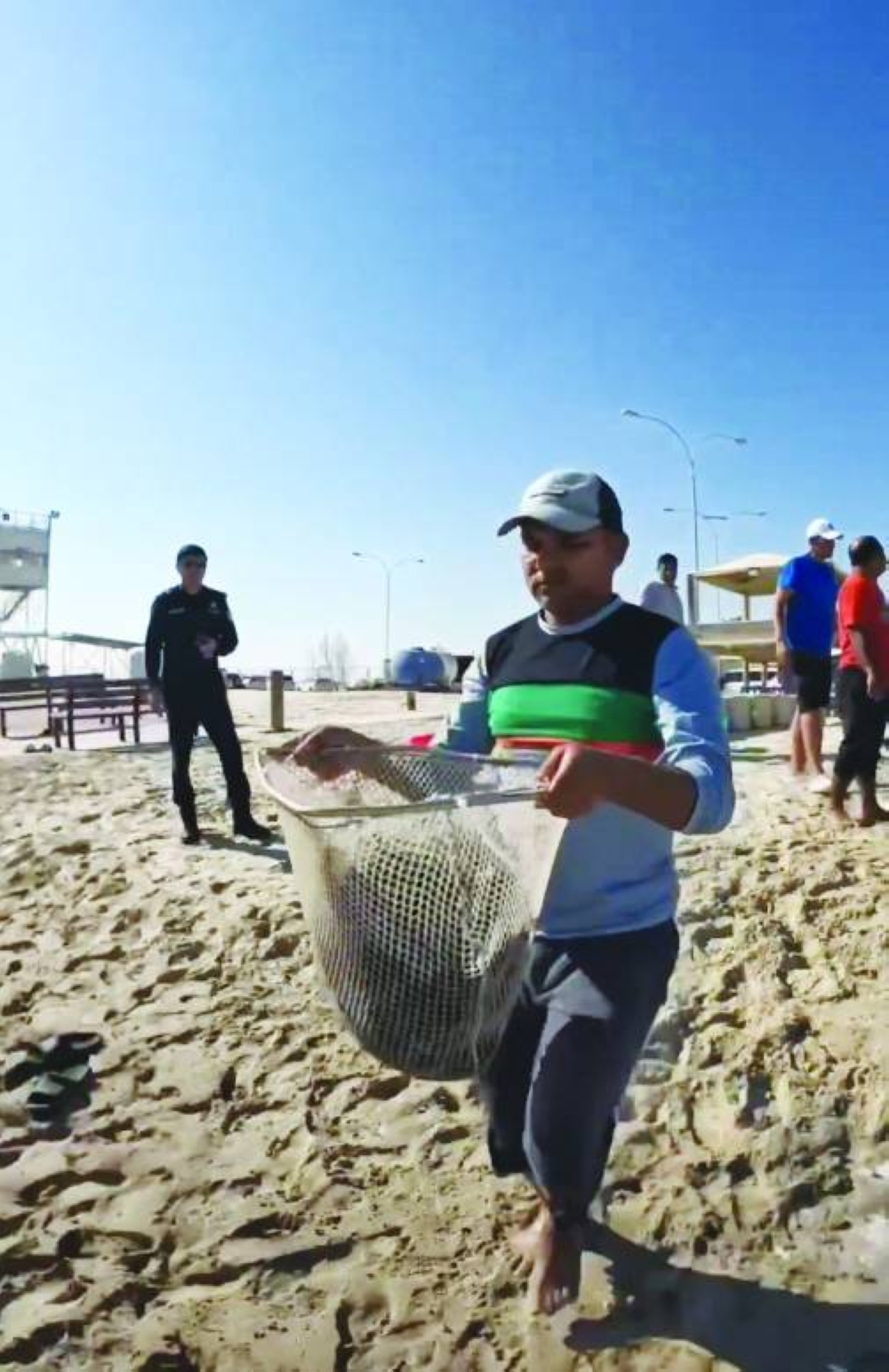 15,000 baby Hamour fishes released into Sealine area - Gulf Times