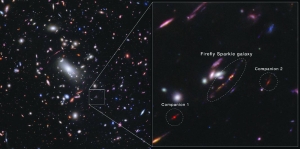 Firefly Sparkle galaxy offers a taste of infant Milky Way - Gulf Times