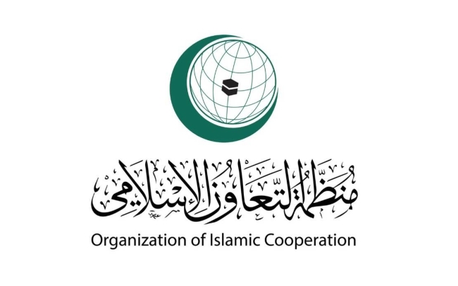 OIC welcomes UN General Assembly's decision regarding UNRWA - Gulf Times