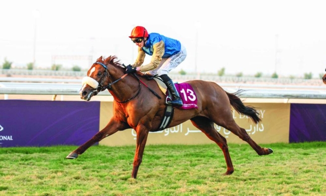 Wathnan Racing’s Supercooled cruises to Qatar Derby victory - Gulf Times