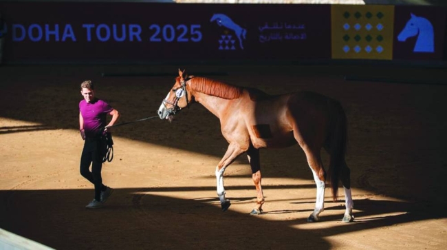 Final round of Doha Tour from Thursday at Al Shaqab - Gulf Times