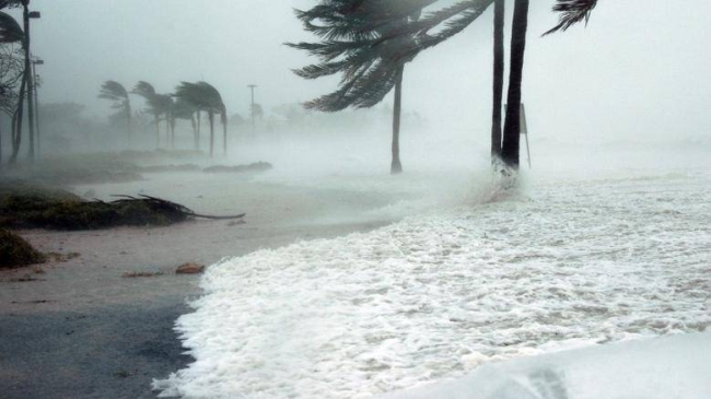 Tropical storm warning issued for Mexico's Gulf Coast - Gulf Times