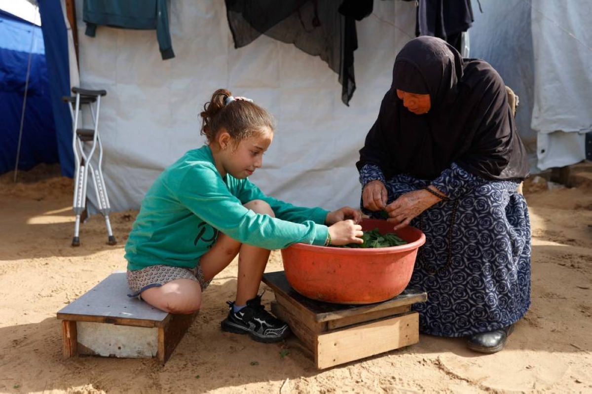 Loss and survival in Gaza - Gulf Times