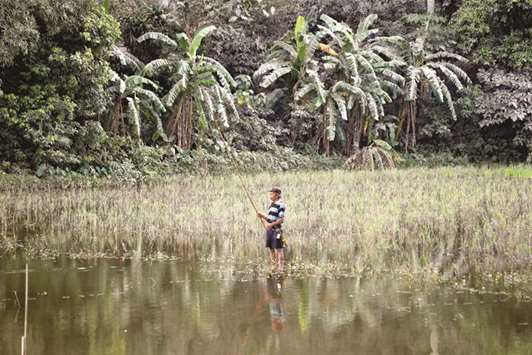 Mayon volcano emergency could last three months - Gulf Times