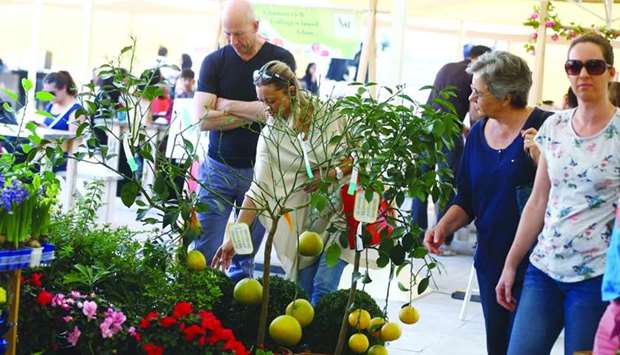 With focus on sustainability, Torba market celebrates environment care ...