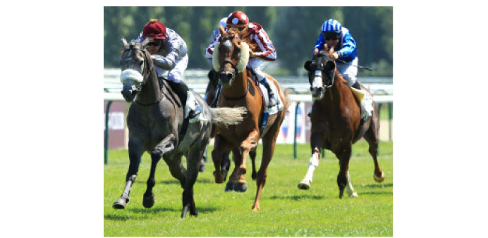 Al Shaqab Racing’s Bint Jakkarta wins Al Rayyan Cup - Gulf Times