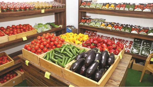 Qatari farm products win praise for quality, diversity and prices ...