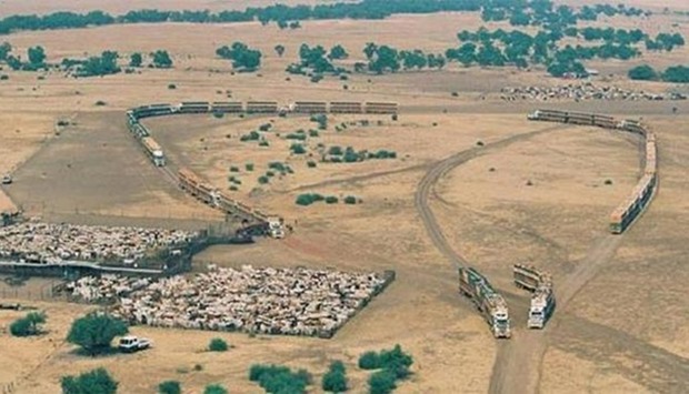 Australia blocks sale of country's largest farm to China - Gulf Times