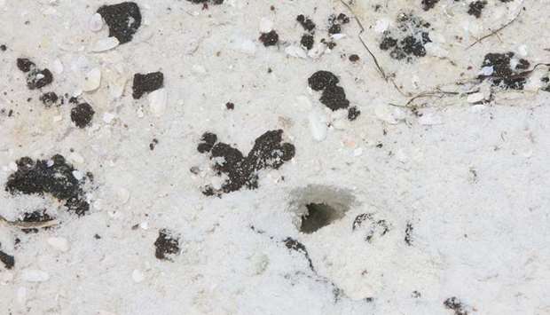 Feet of clay - Gulf Times