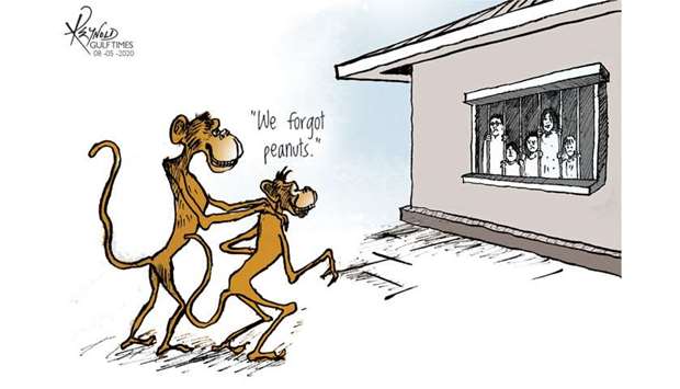 Cartoon corner - Gulf Times