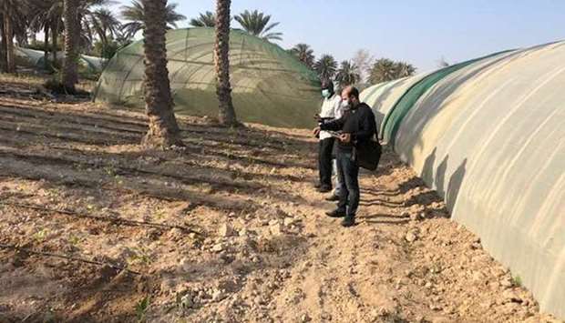 QU announces second phase of agriculture census - Gulf Times