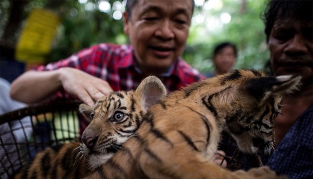 Philippines Malabon Zoo Website