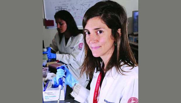 WCM-Q research unravels VLDLR protein’s role in reproduction - Gulf Times