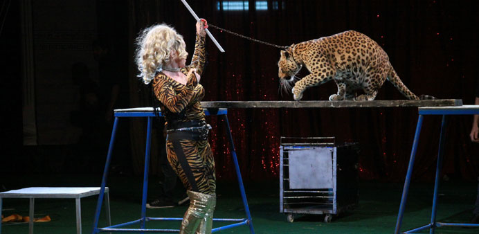 Mall stops circus after leopard cub attacks boy - Gulf Times
