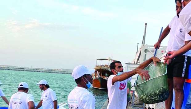MME releases 51,000 sea bream fingerlings in Qatari waters - Gulf Times