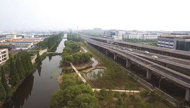 Sponges: cooling cities the natural way - Gulf Times