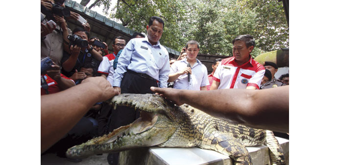 Tigers, piranhas may join crocodile guards at Indonesia jail - Gulf Times
